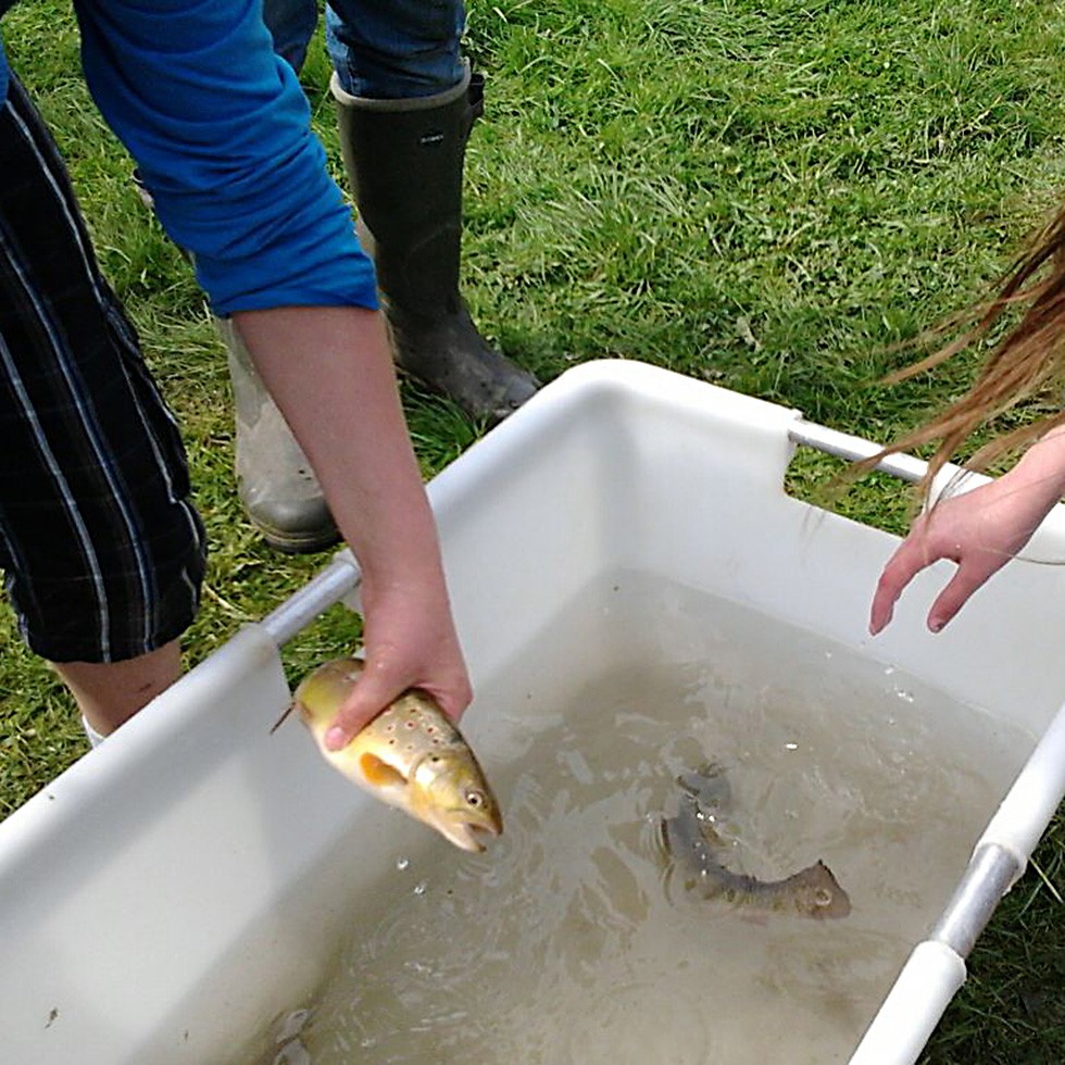 FIAP profifish Trough 106 Art. No. 1353-aquaculture-container-troughs ...