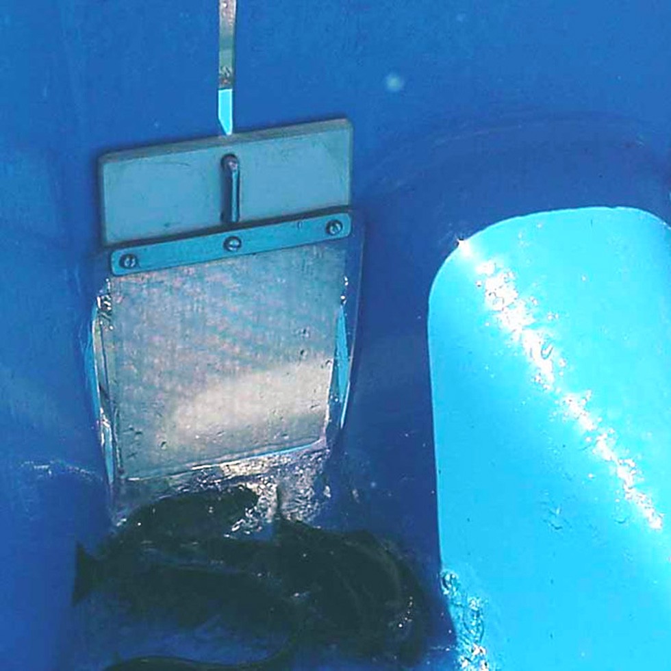 FIAP Automatic Grader Art. No. 1491-aquaculture-fish farming-fish ...