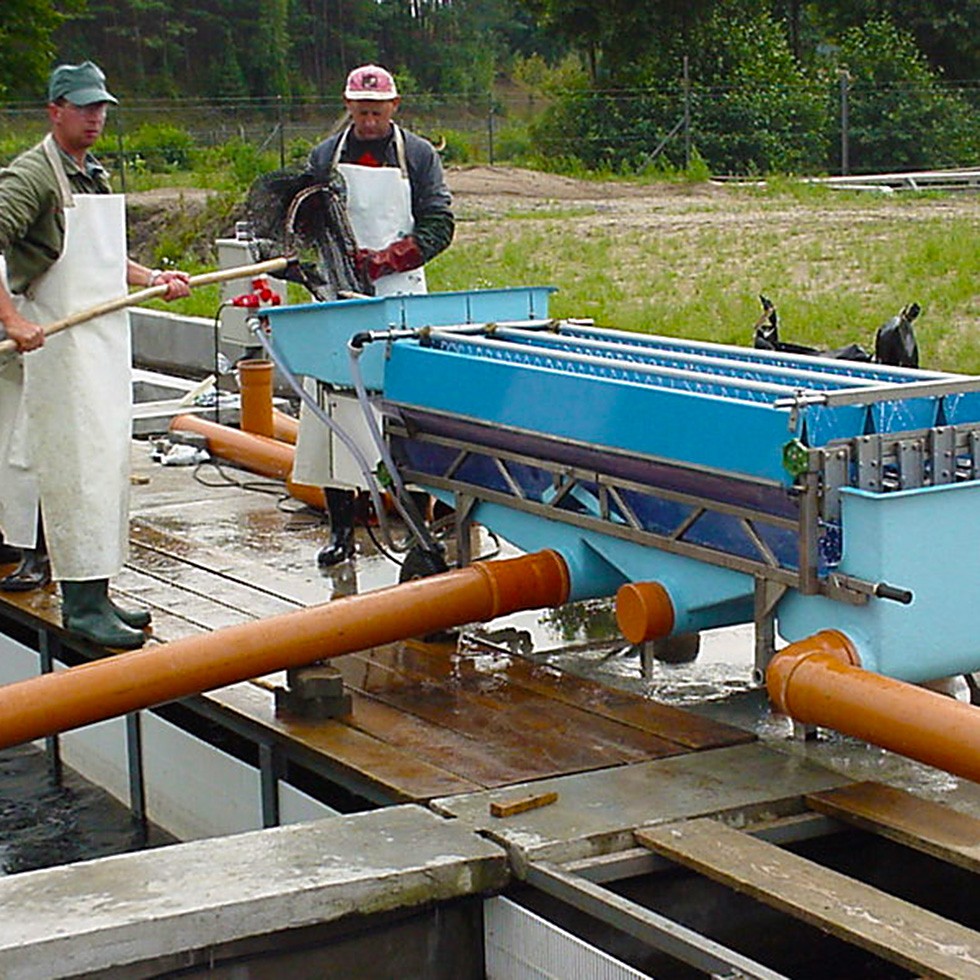 FIAP Automatic Grader Art. No. 1491-aquaculture-fish farming-fish ...