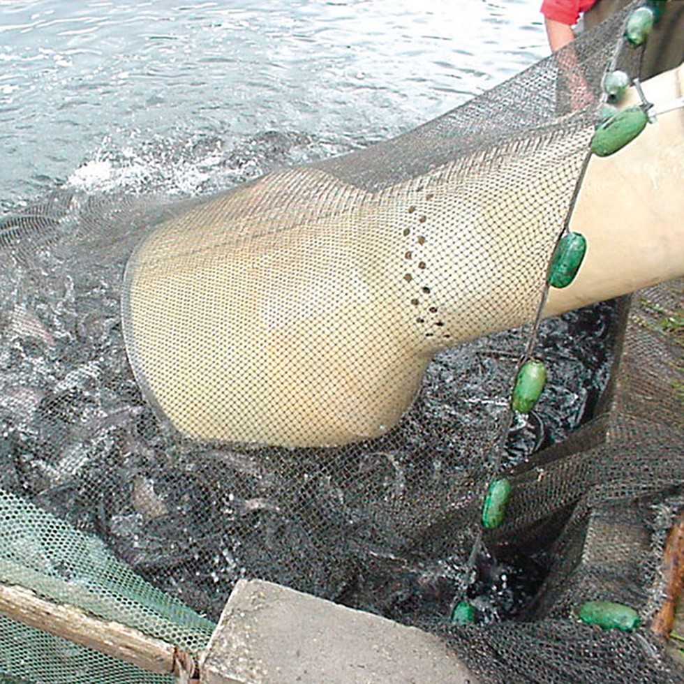 FIAP Fish Pump 500 Art. No. 1497-aquaculture-fish farming-fish ...