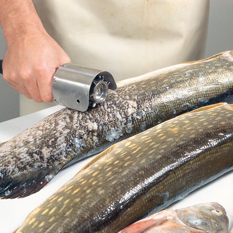 FIAP profiwork Fish Scaling Machine Art. No. 1989-aquaculture-fish ...