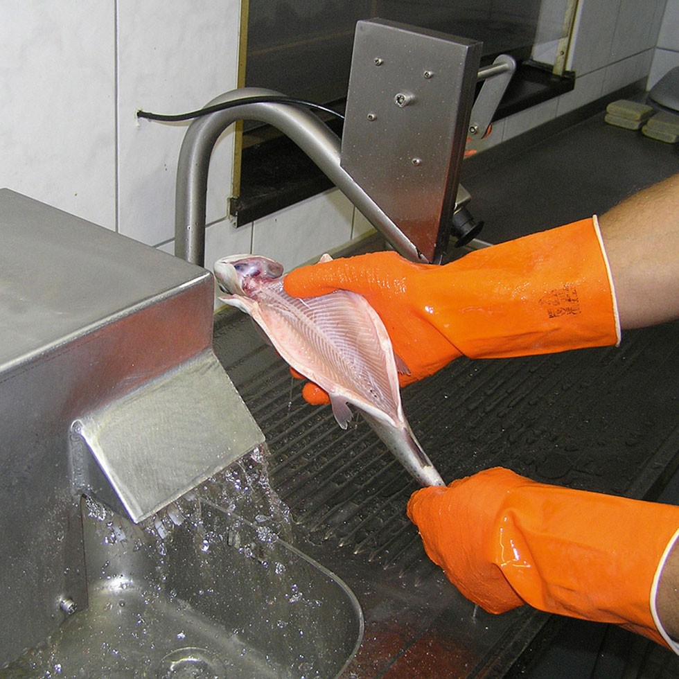 FIAP profiwork Fish Cleaning Brush Machine Free-Standing Art. No. 1995 ...