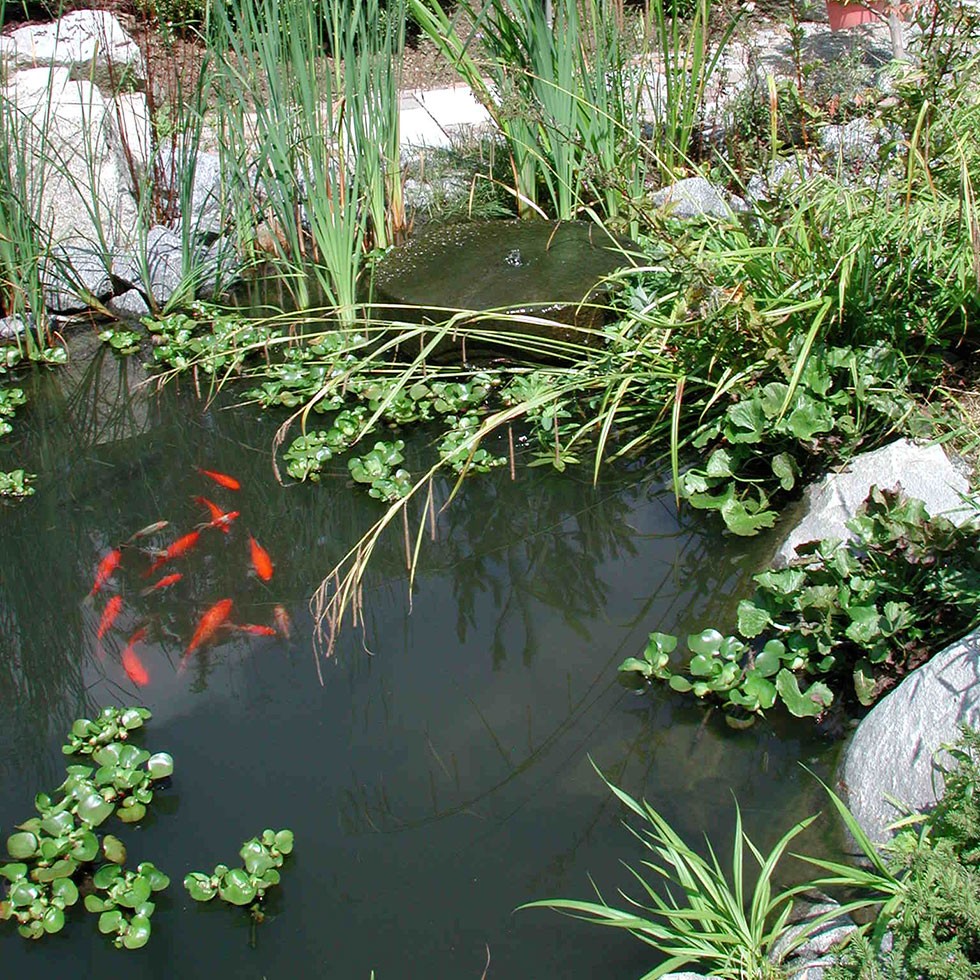 FIAP MyPond Active 900 Art. No. 3963-garden pond-pond construction-pond ...