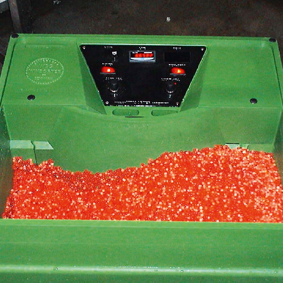 FIAP profibreed Sortiermaschine WB 9 x 2 C - A Art. Nr. 1447-1 ...