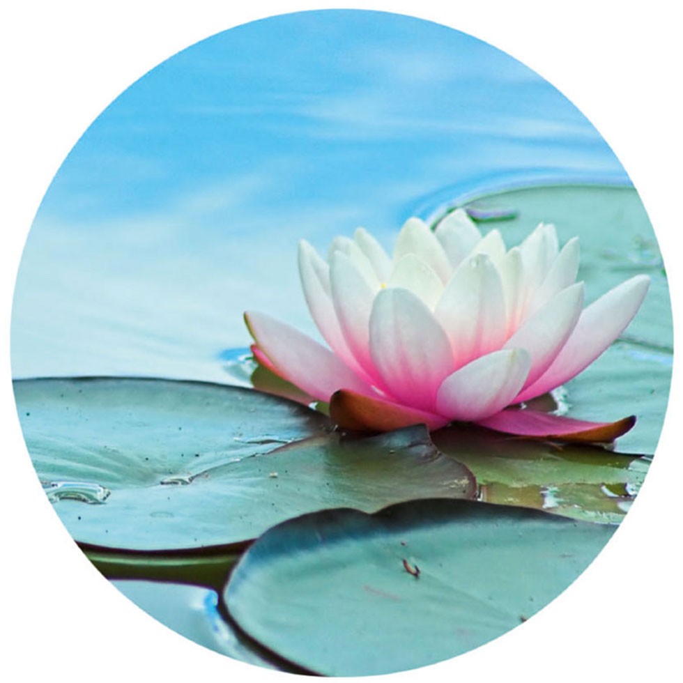 FIAP Spalt Active 22.000 Pumpversion Art. Nr. 2853-Aquakultur-Filter ...